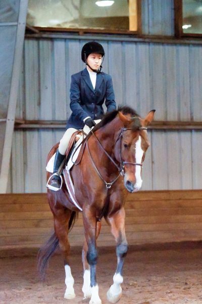 Showing – Candy Lane Acres