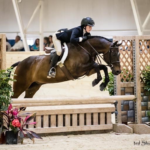 Showing – Candy Lane Acres