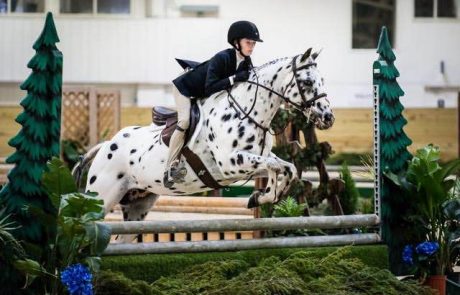 Showing – Candy Lane Acres