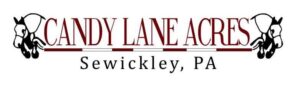 Candy Lane Acres – Exquisite equestrian experiences to learn and love ...