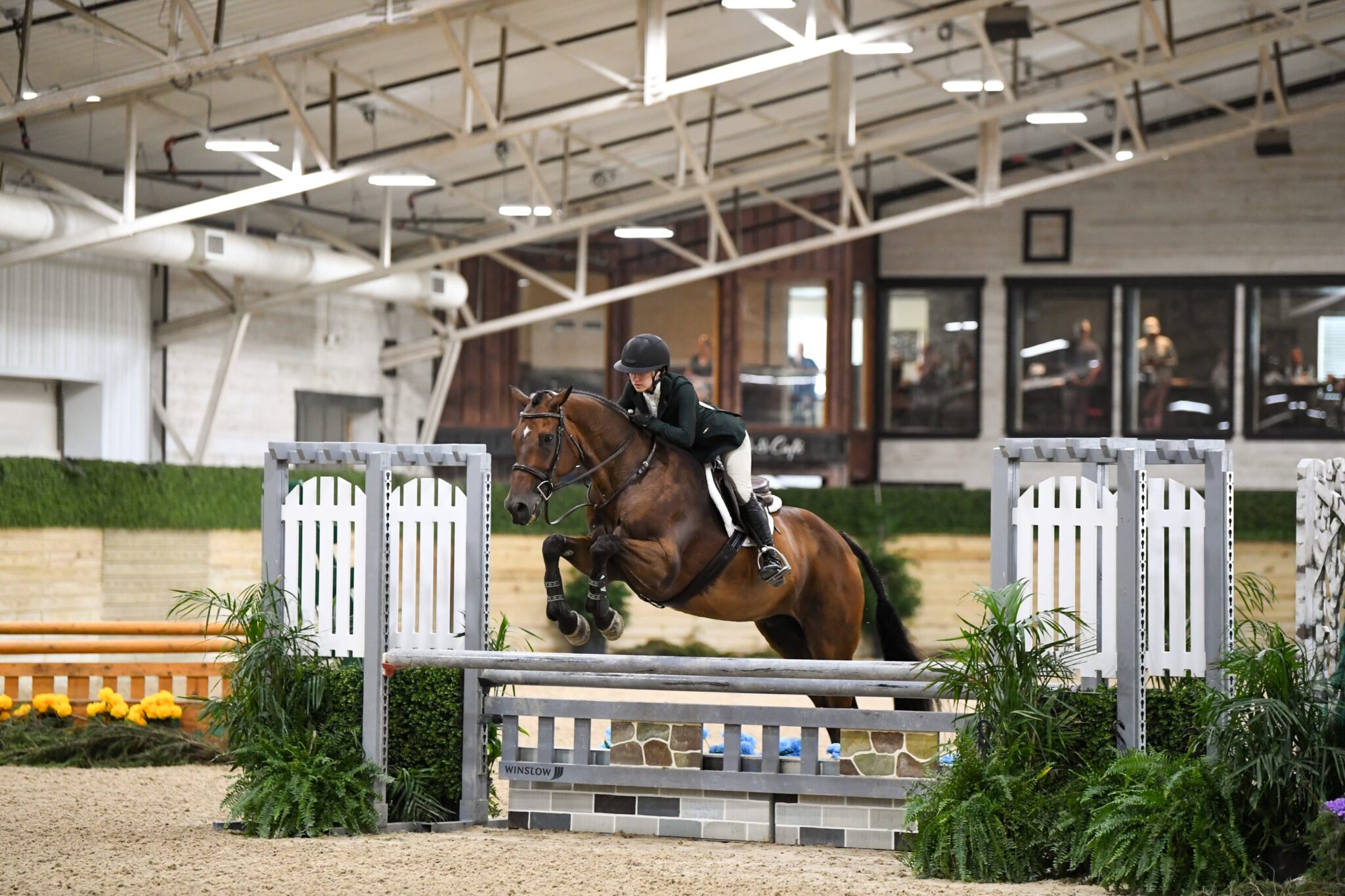 Showing – Candy Lane Acres