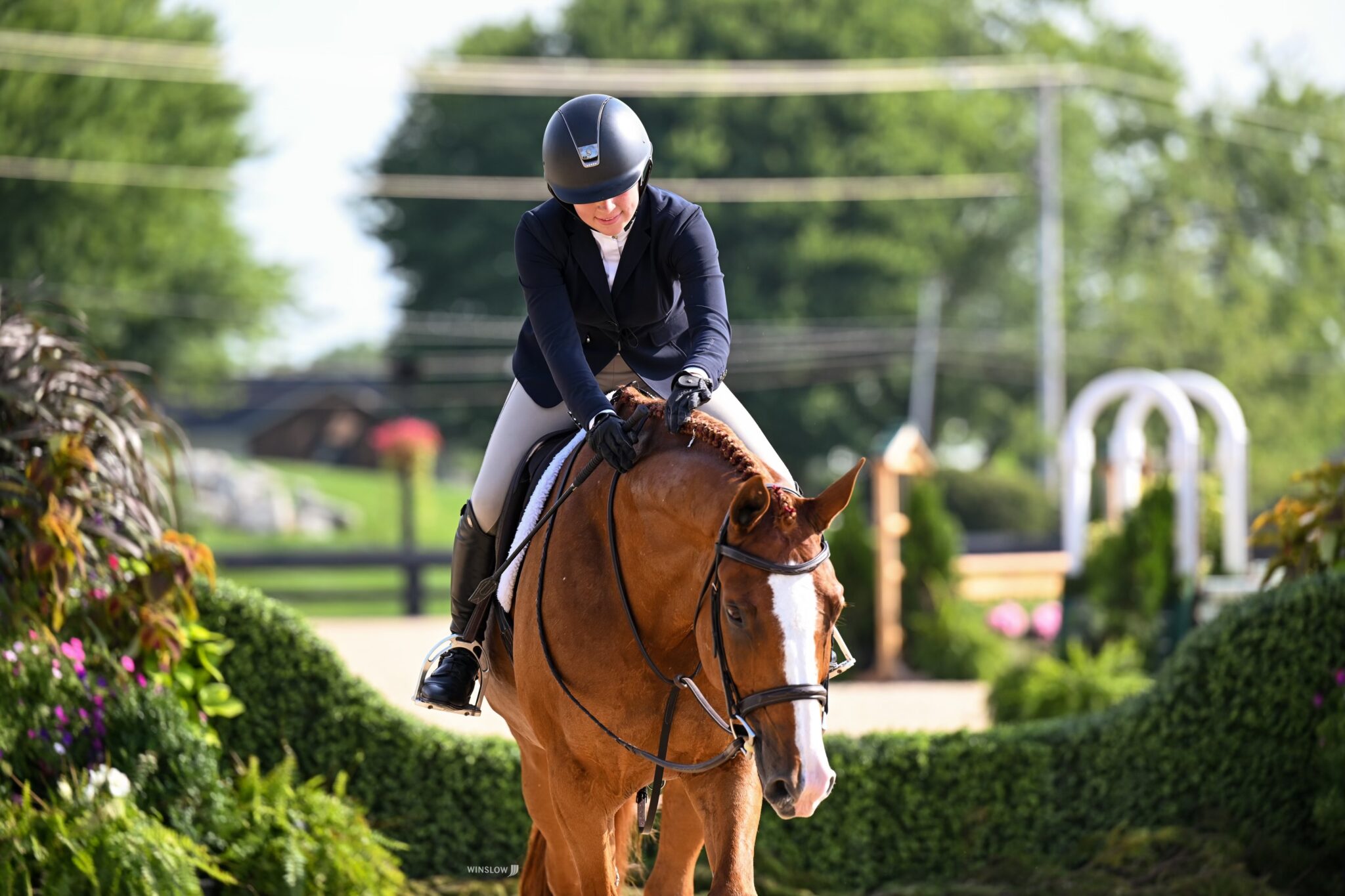 Showing – Candy Lane Acres