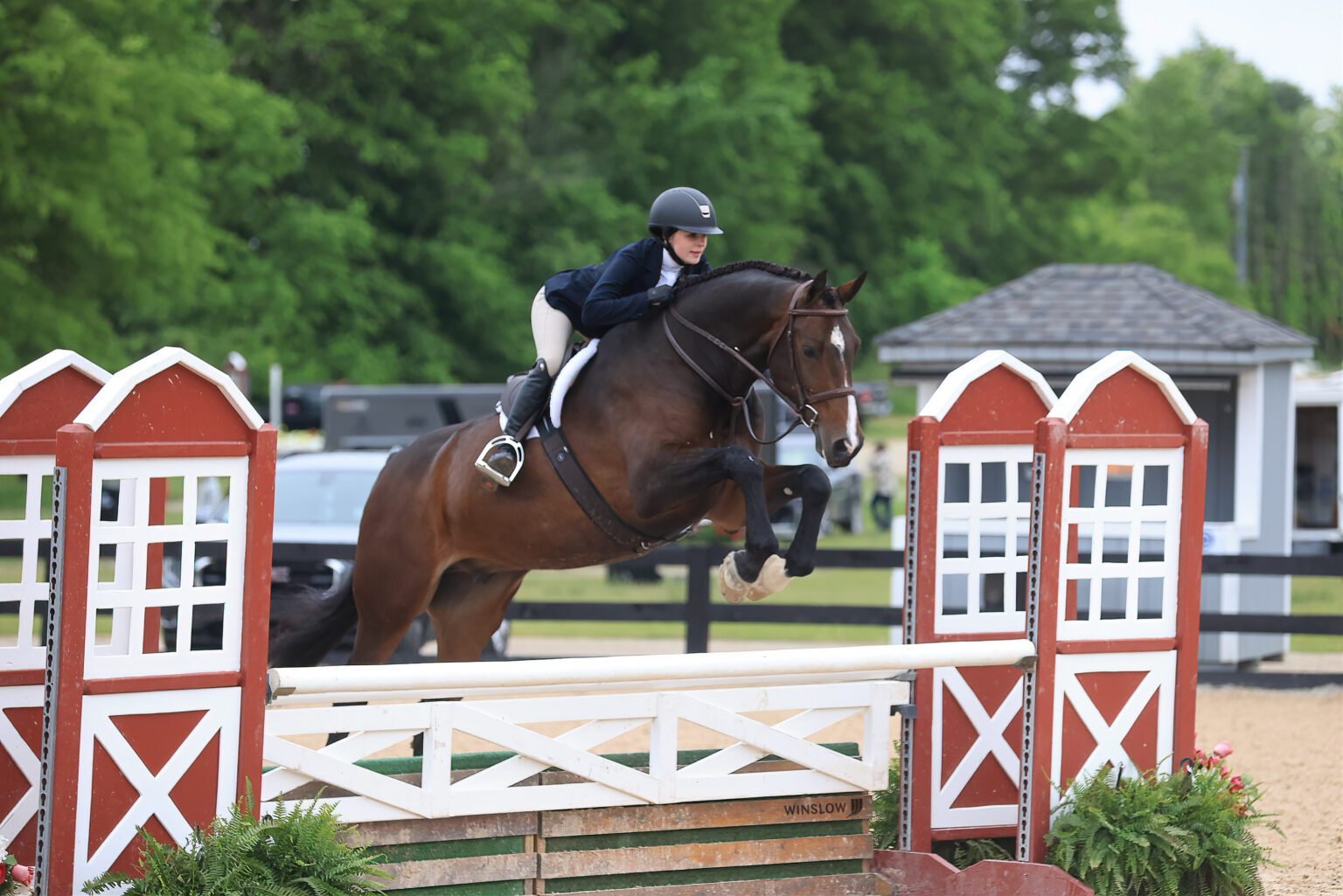 Showing – Candy Lane Acres